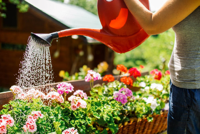 Regando el jardin - Rotoplas Centroamérica